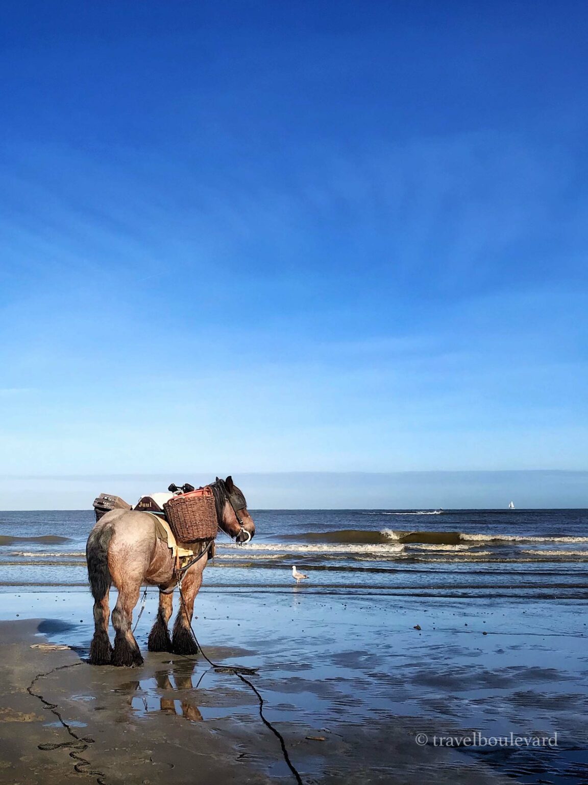 Een weekendje aan zee: 5 tips om het charmante Koksijde-Oostduinkerke ...